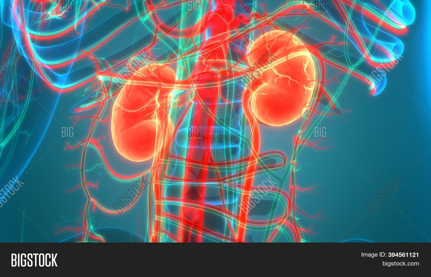 3d Illustration Image & Photo (Free Trial) | Bigstock