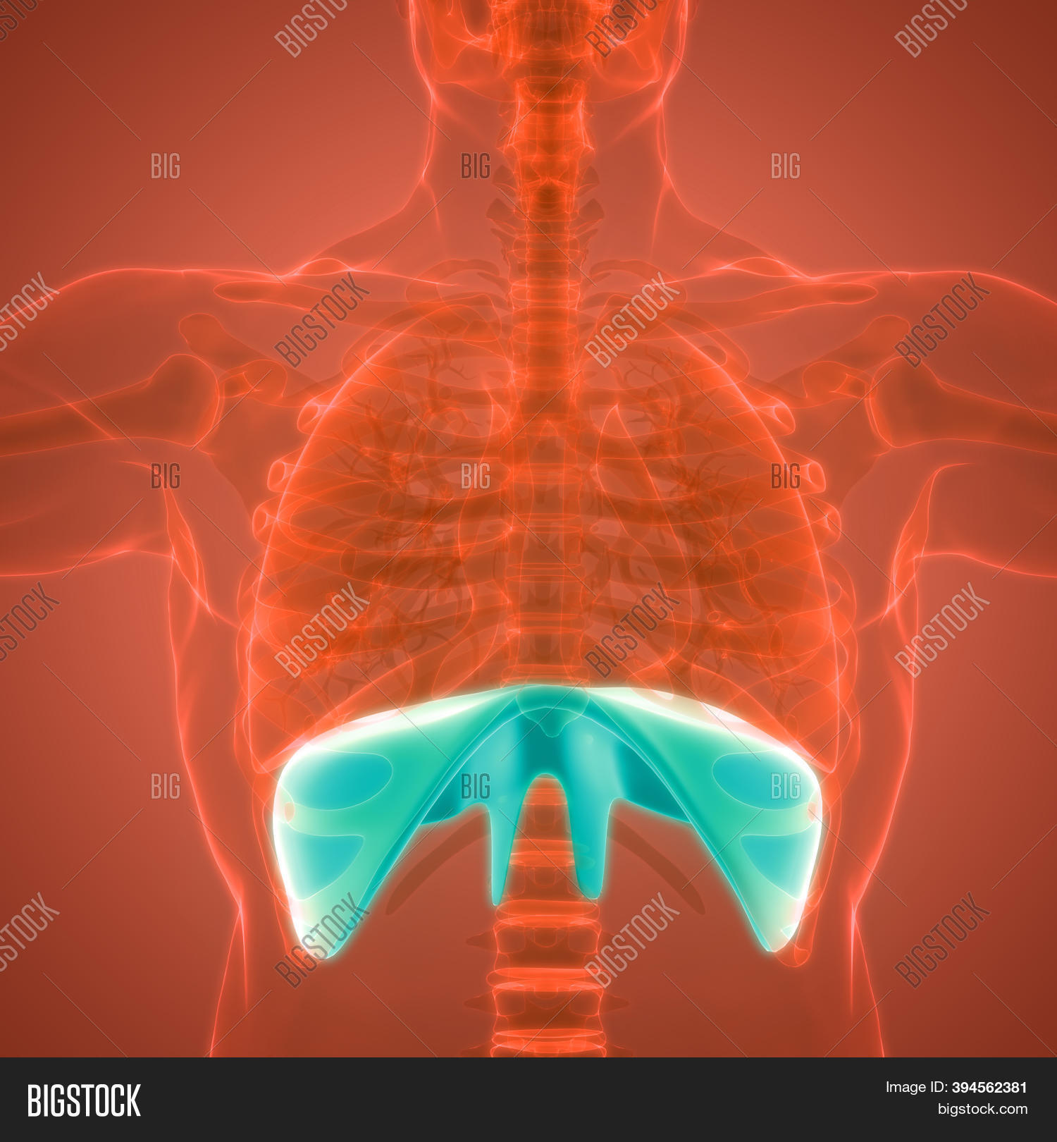 3d Illustration Image & Photo (Free Trial) | Bigstock