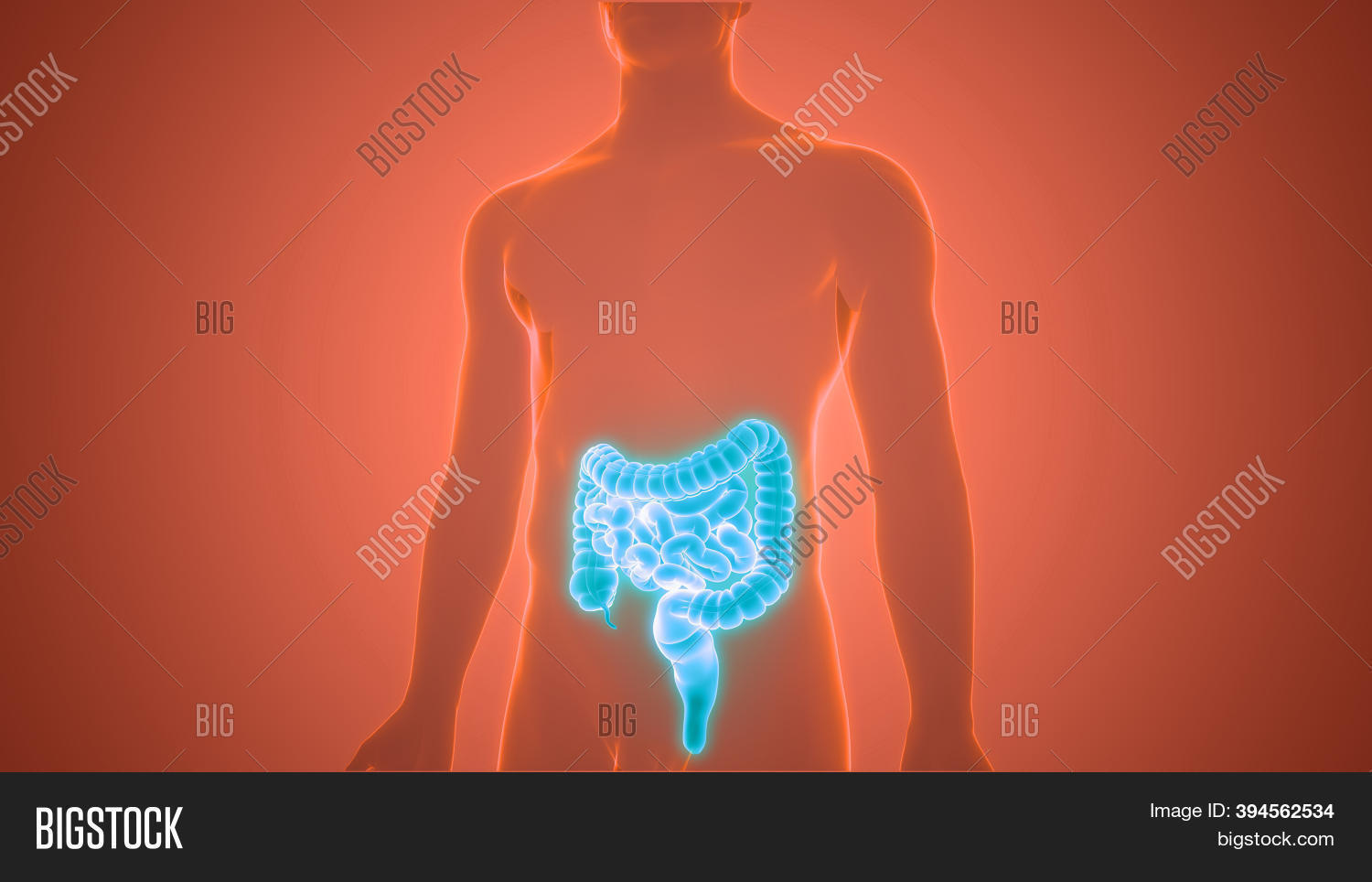 3d Illustration Image & Photo (Free Trial) | Bigstock