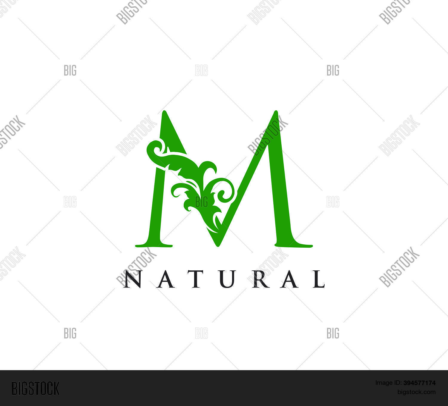 Green M Letter Logo. Vector & Photo (Free Trial) | Bigstock