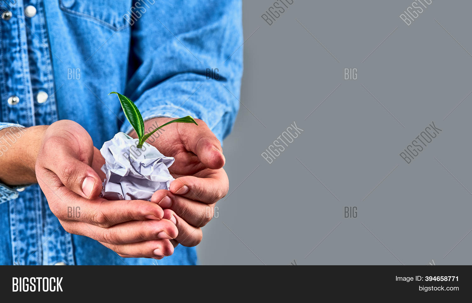 Hands Hold Plant Image & Photo (Free Trial) | Bigstock