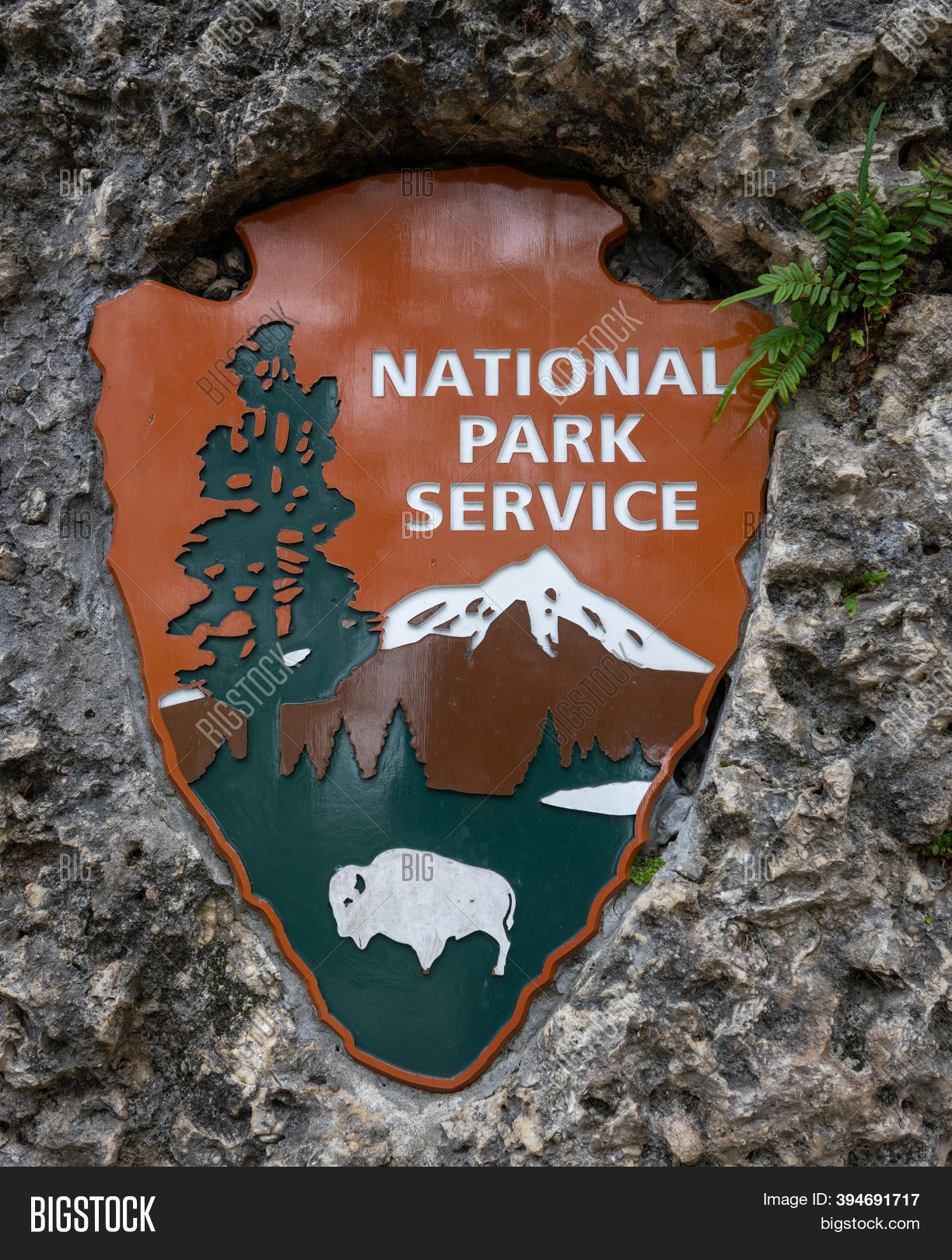 Everglades National Image & Photo (Free Trial) | Bigstock