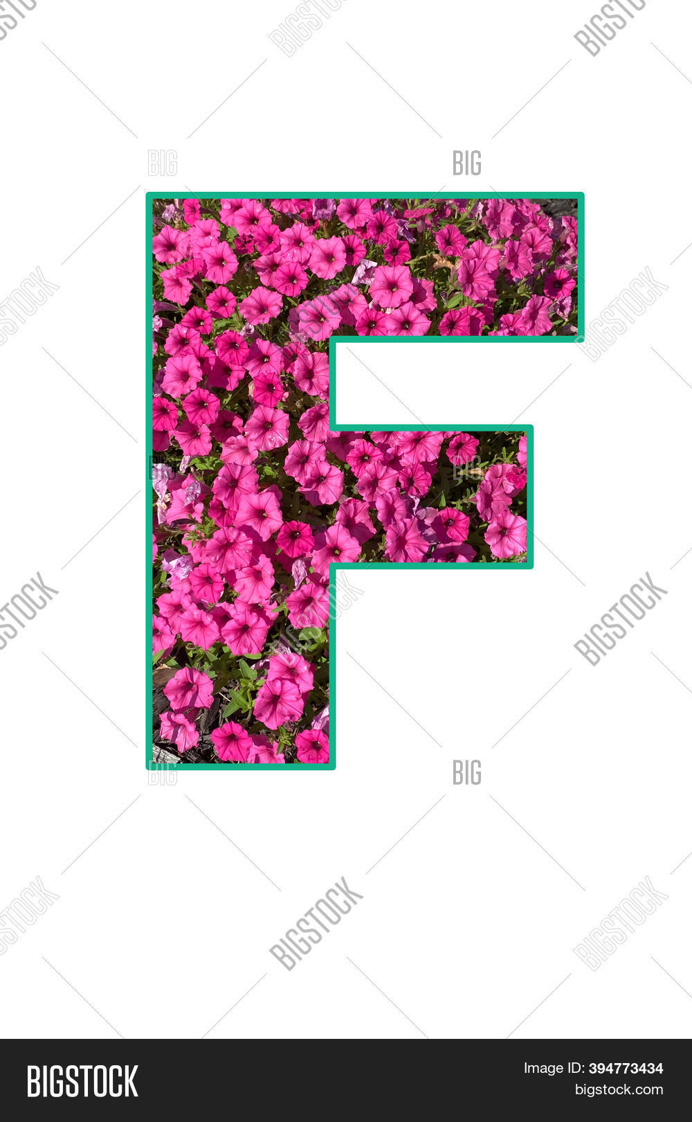 Stylish Letter F Text Image & Photo (Free Trial) | Bigstock