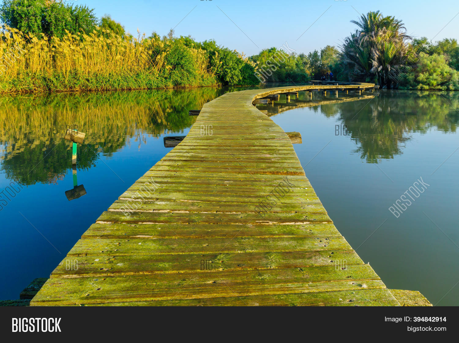 View Elevated Pathway Image & Photo (Free Trial) | Bigstock
