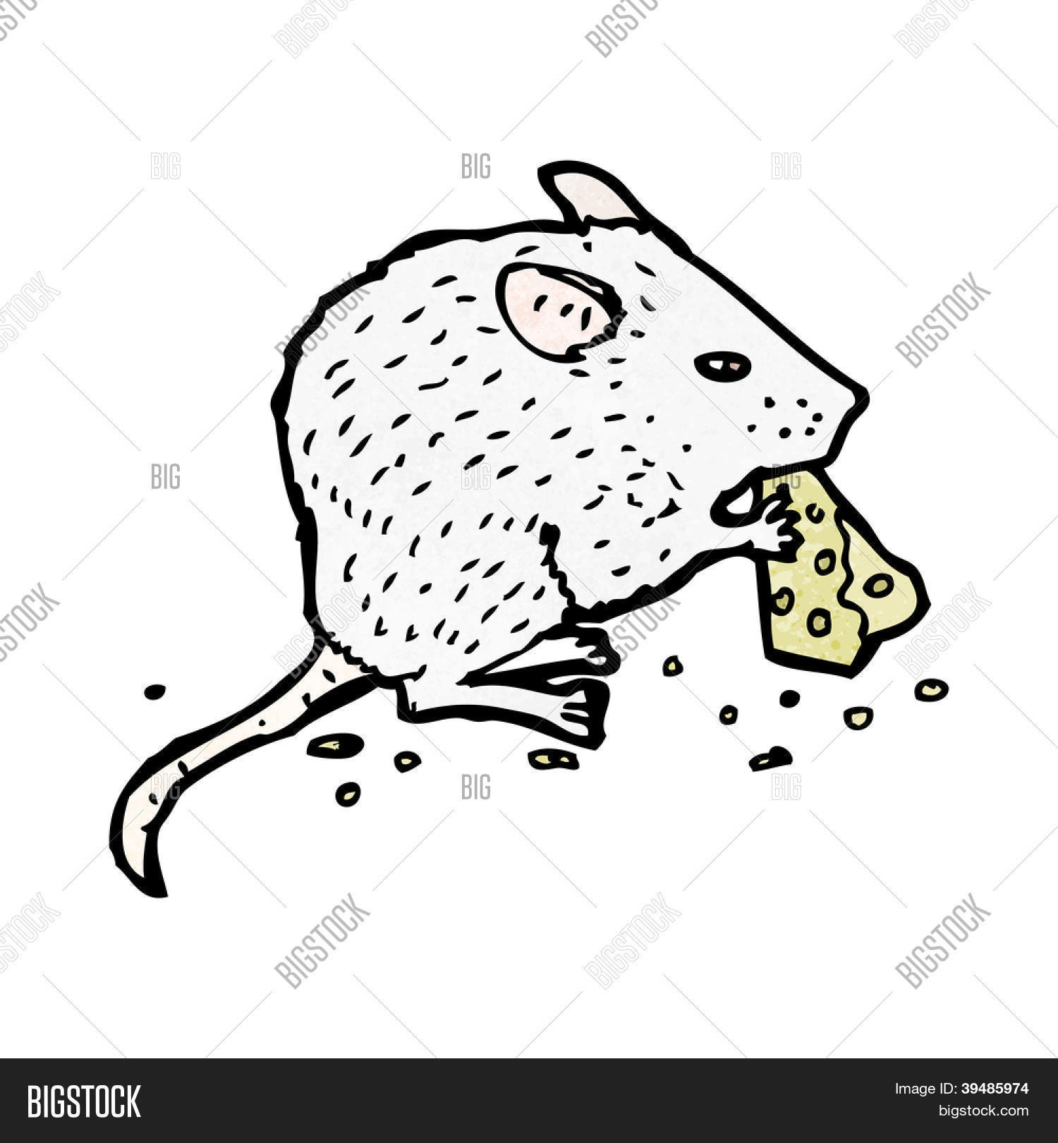 White Mouse Eating Cheese