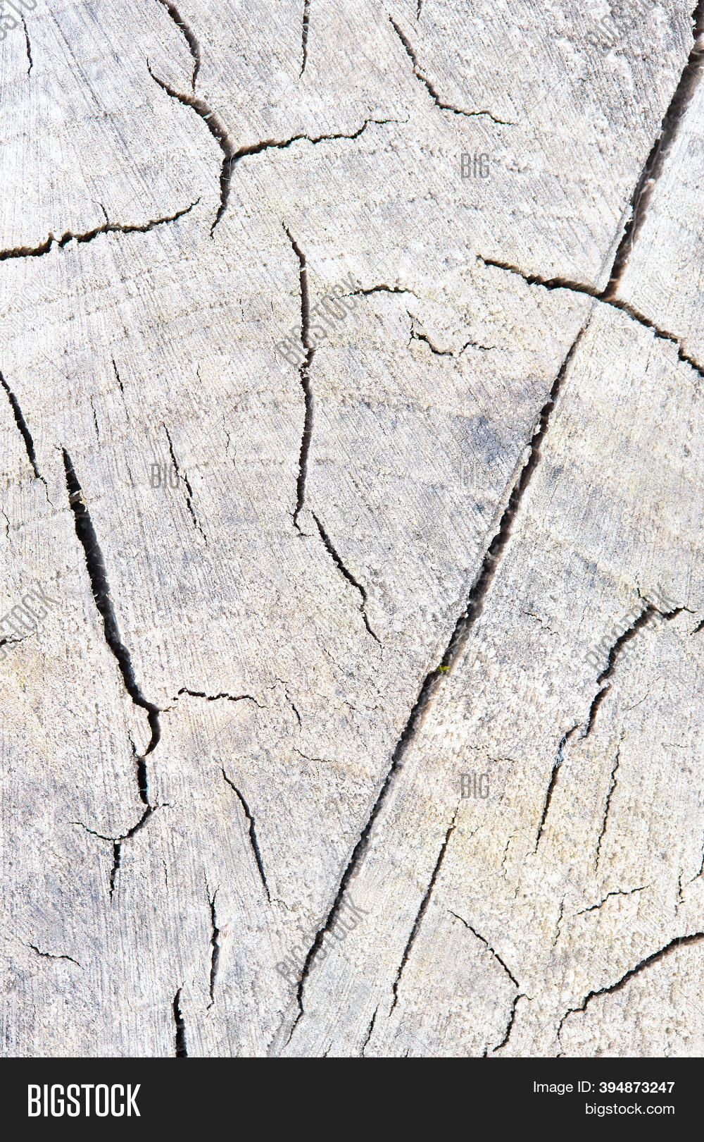 Texture Rough Surface Image & Photo (Free Trial) | Bigstock