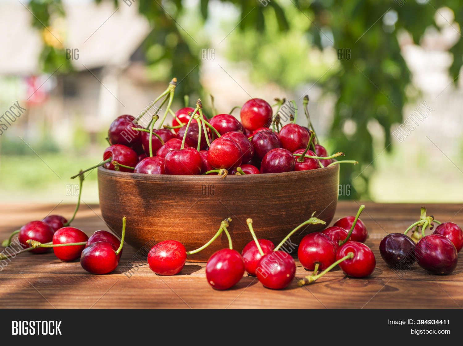 Ripe Sweet Cherries Image & Photo (Free Trial) | Bigstock