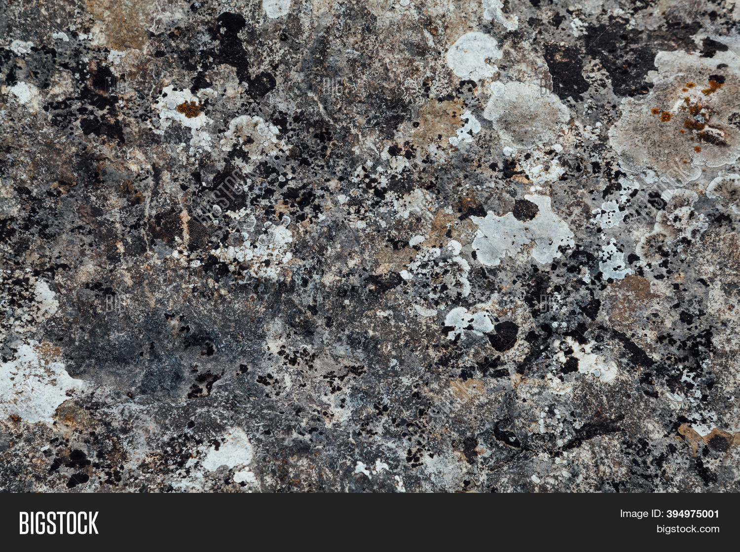 Old Grey Vintage Wall Image & Photo (Free Trial) | Bigstock