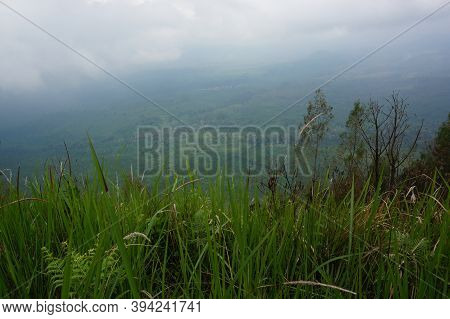 Plateau Few Trees Image & Photo (Free Trial) | Bigstock