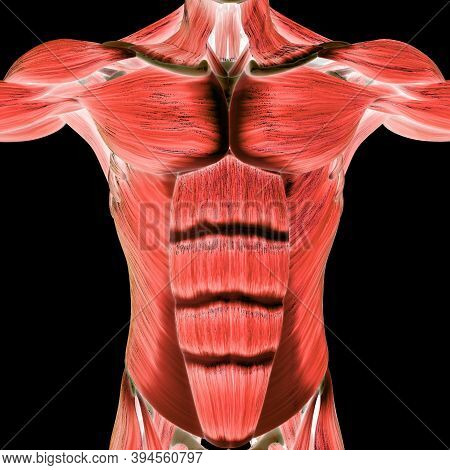 3d Illustration Image & Photo (Free Trial) | Bigstock