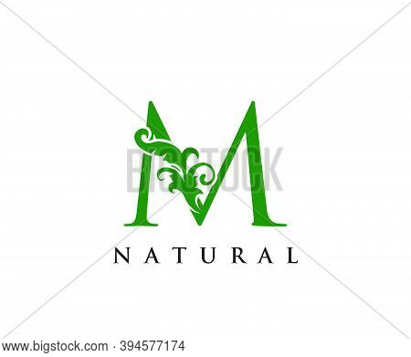 Green M Letter Logo. Vector & Photo (Free Trial) | Bigstock