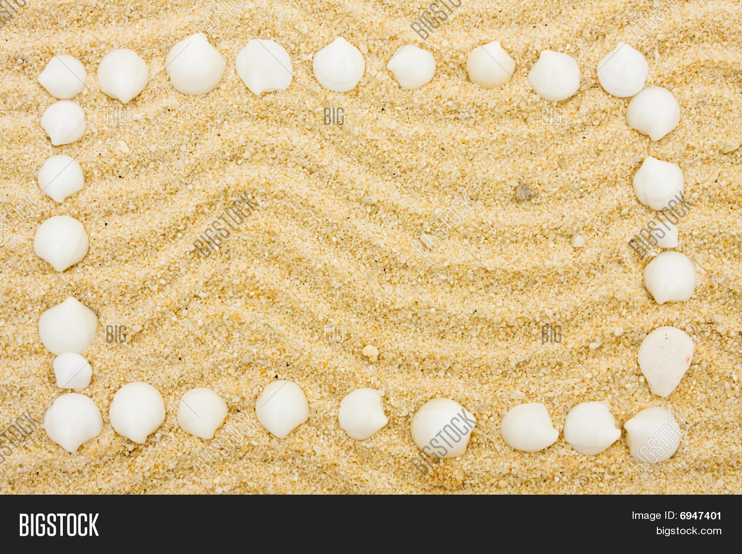 Seashell Border Image & Photo (Free Trial) | Bigstock