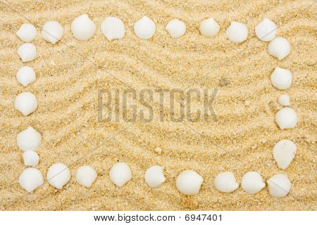 Seashell Border Image & Photo (Free Trial) | Bigstock