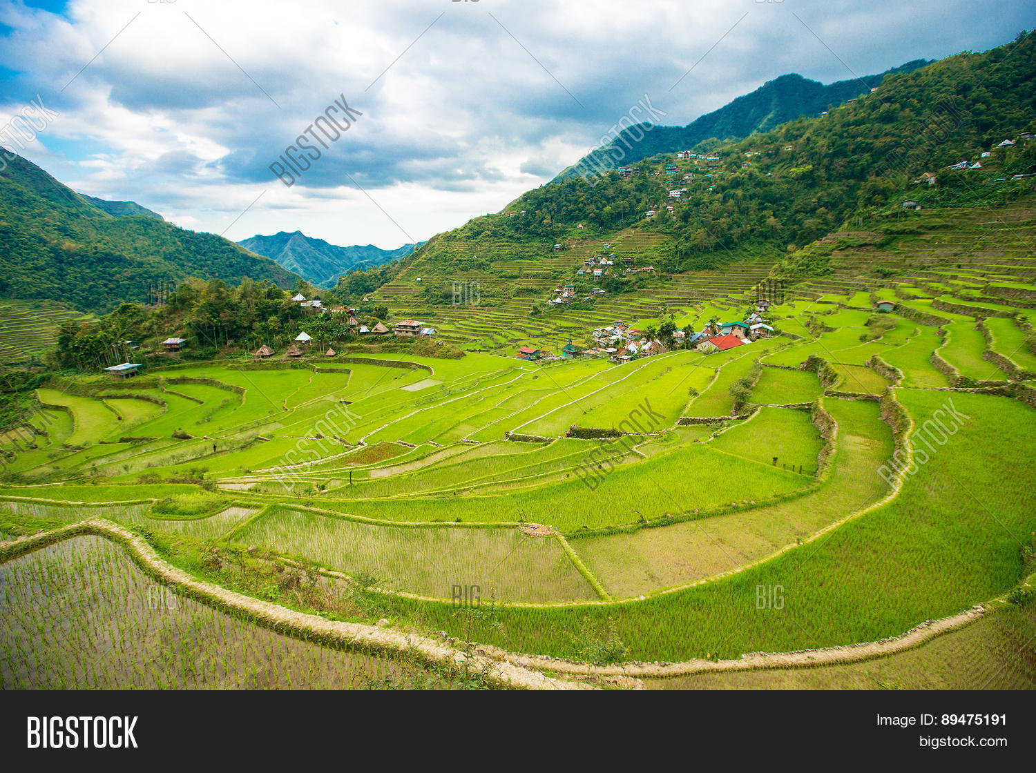 Rice Terraces Image & Photo (Free Trial) | Bigstock