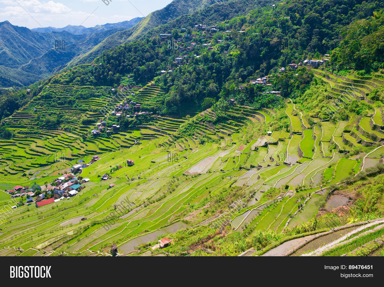 Rice Terraces Image & Photo (Free Trial) | Bigstock
