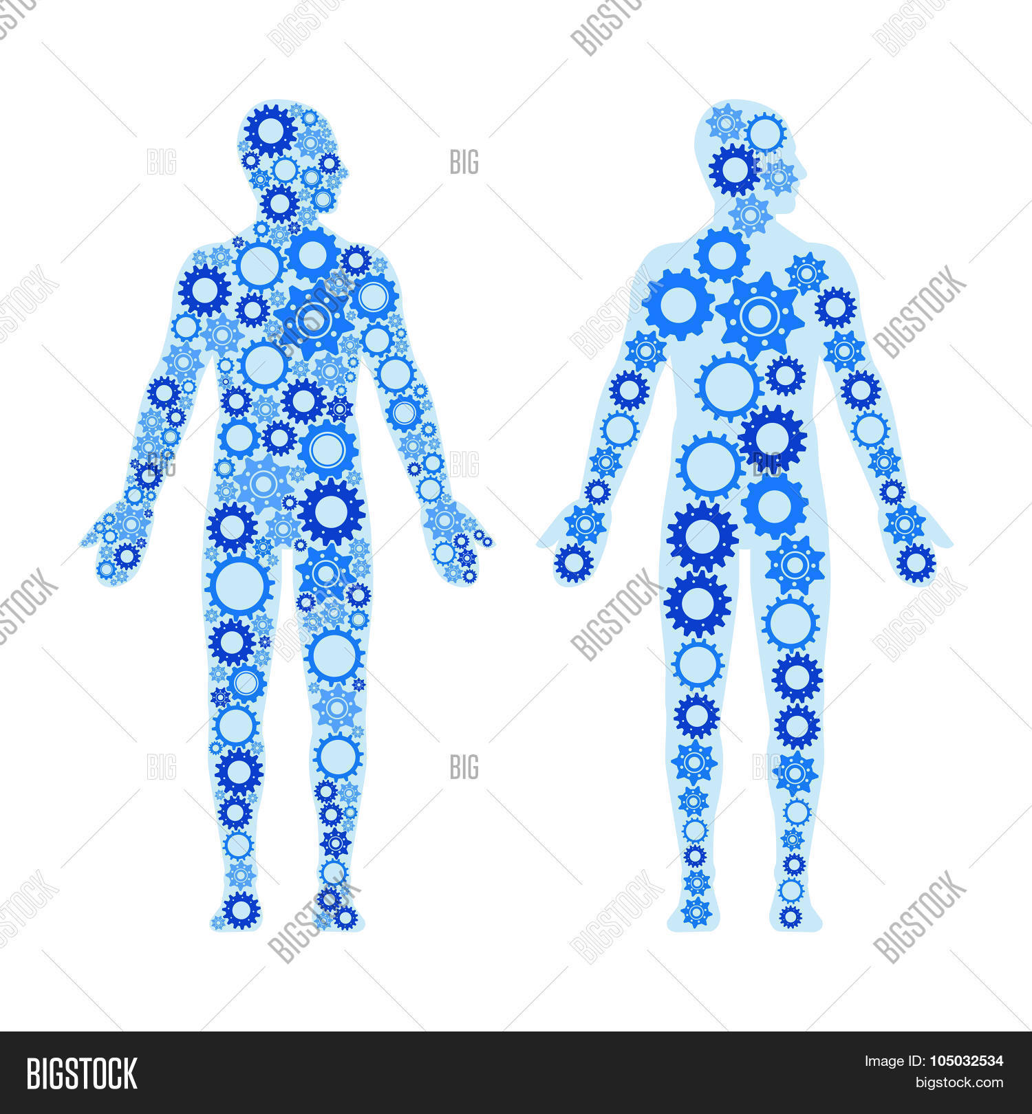 Human Body Composed Vector & Photo (Free Trial) | Bigstock