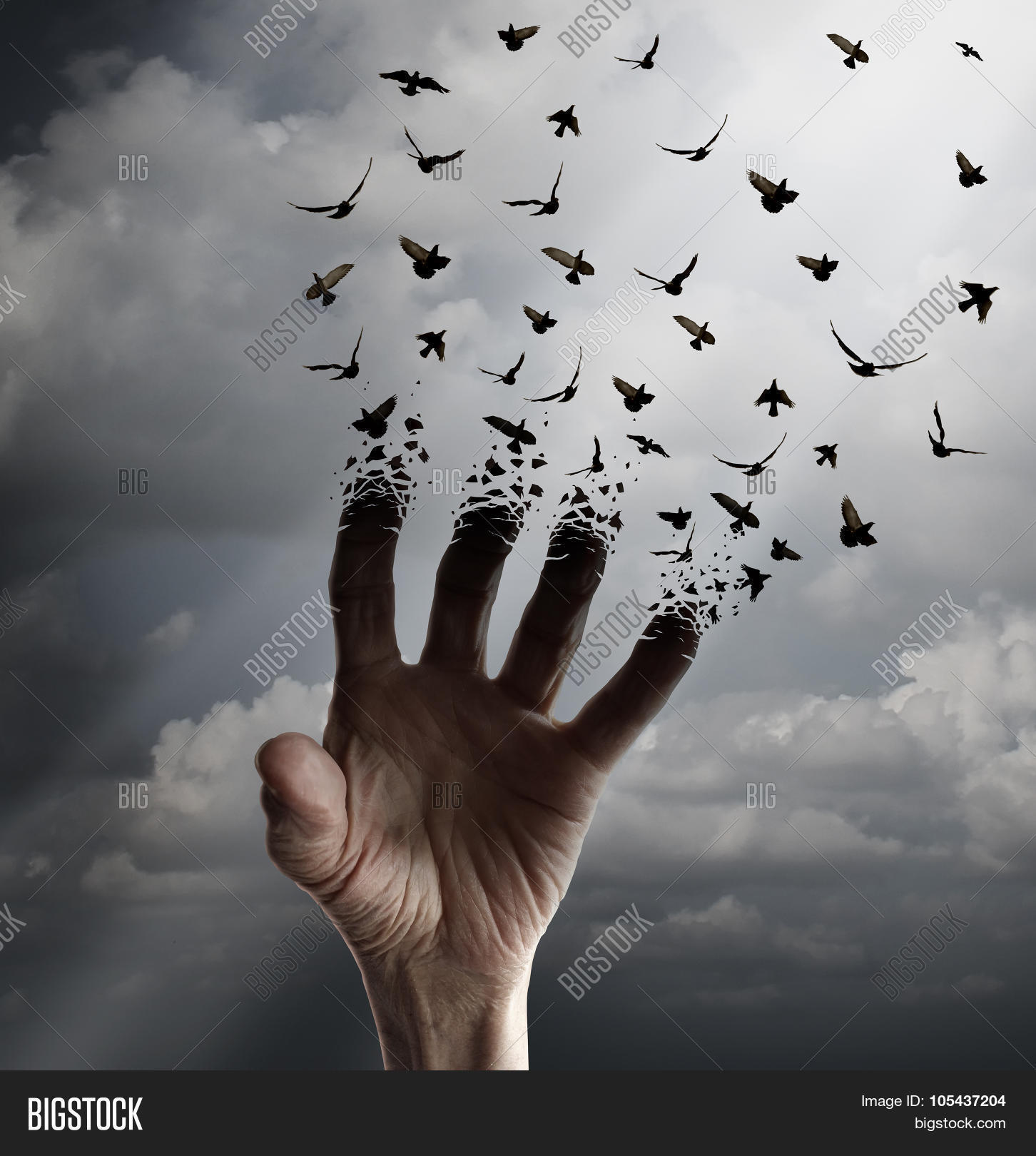 Life Transformation Image & Photo (Free Trial) | Bigstock