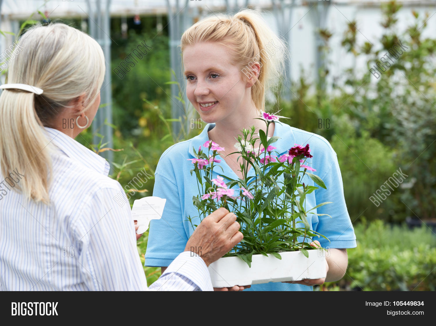 Staff Giving Plant Image & Photo (Free Trial) | Bigstock