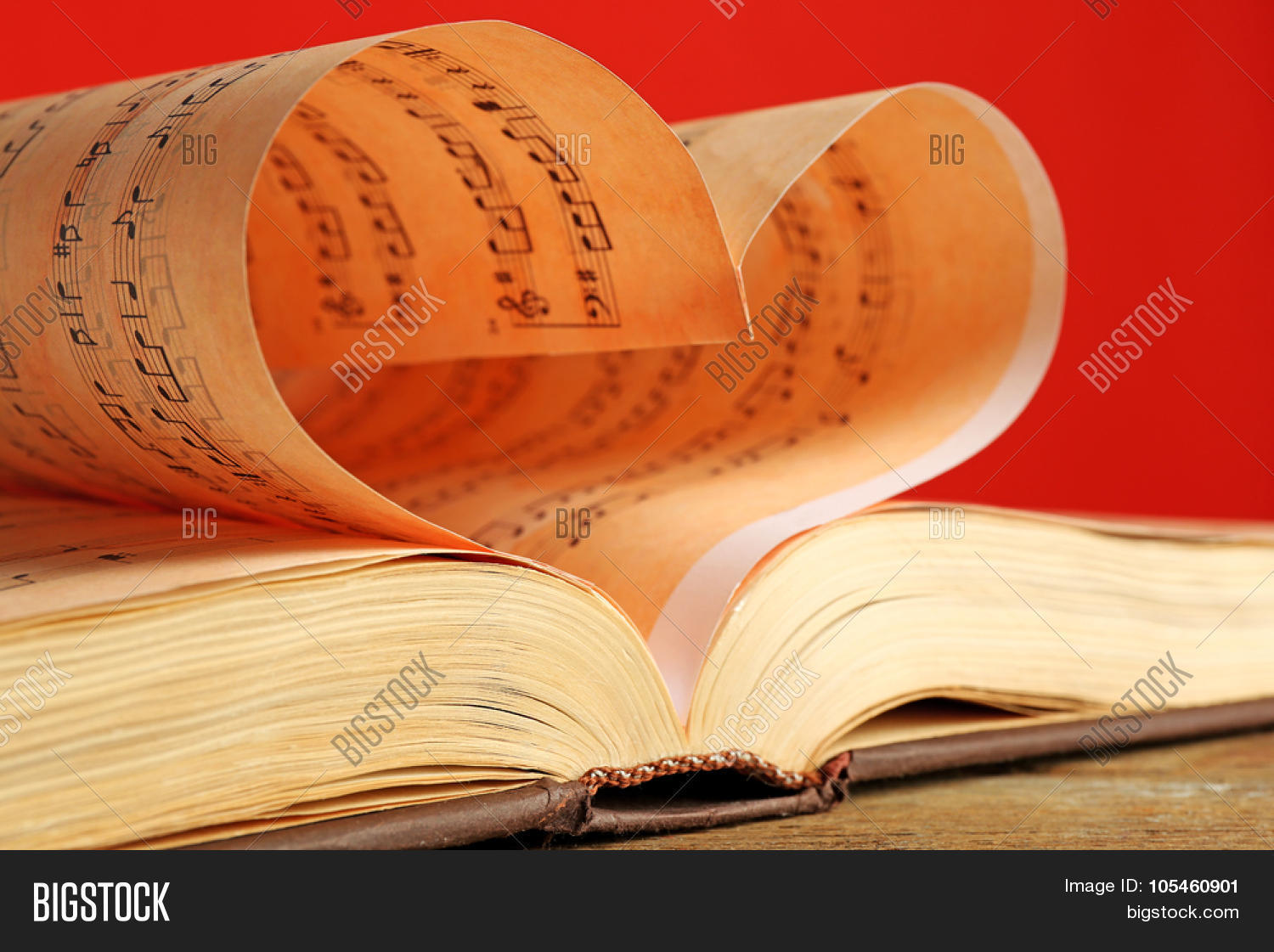Book Pages Curved Into Image & Photo (Free Trial) | Bigstock