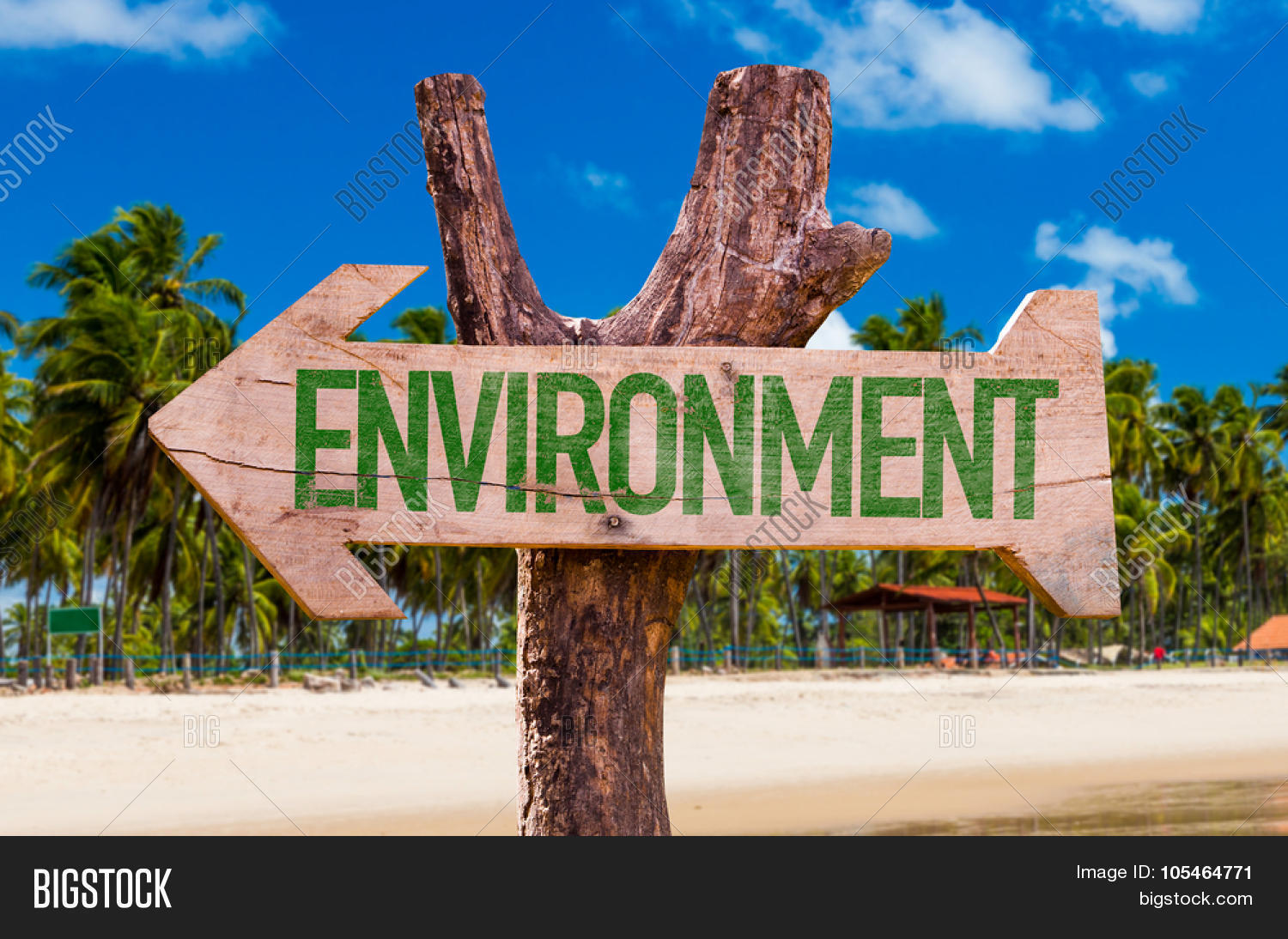Environment Arrow Image & Photo (Free Trial) | Bigstock