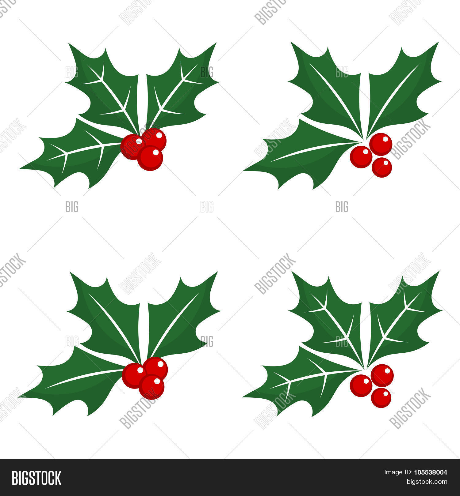 Christmas Holly Berry Vector & Photo (Free Trial) | Bigstock