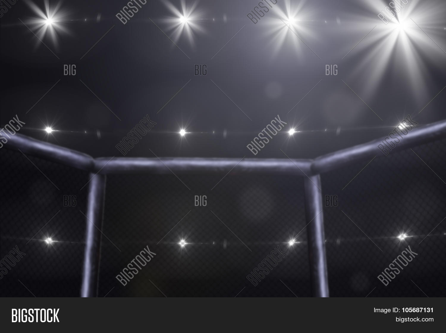 Mma Fighting Stage Image & Photo (Free Trial) | Bigstock
