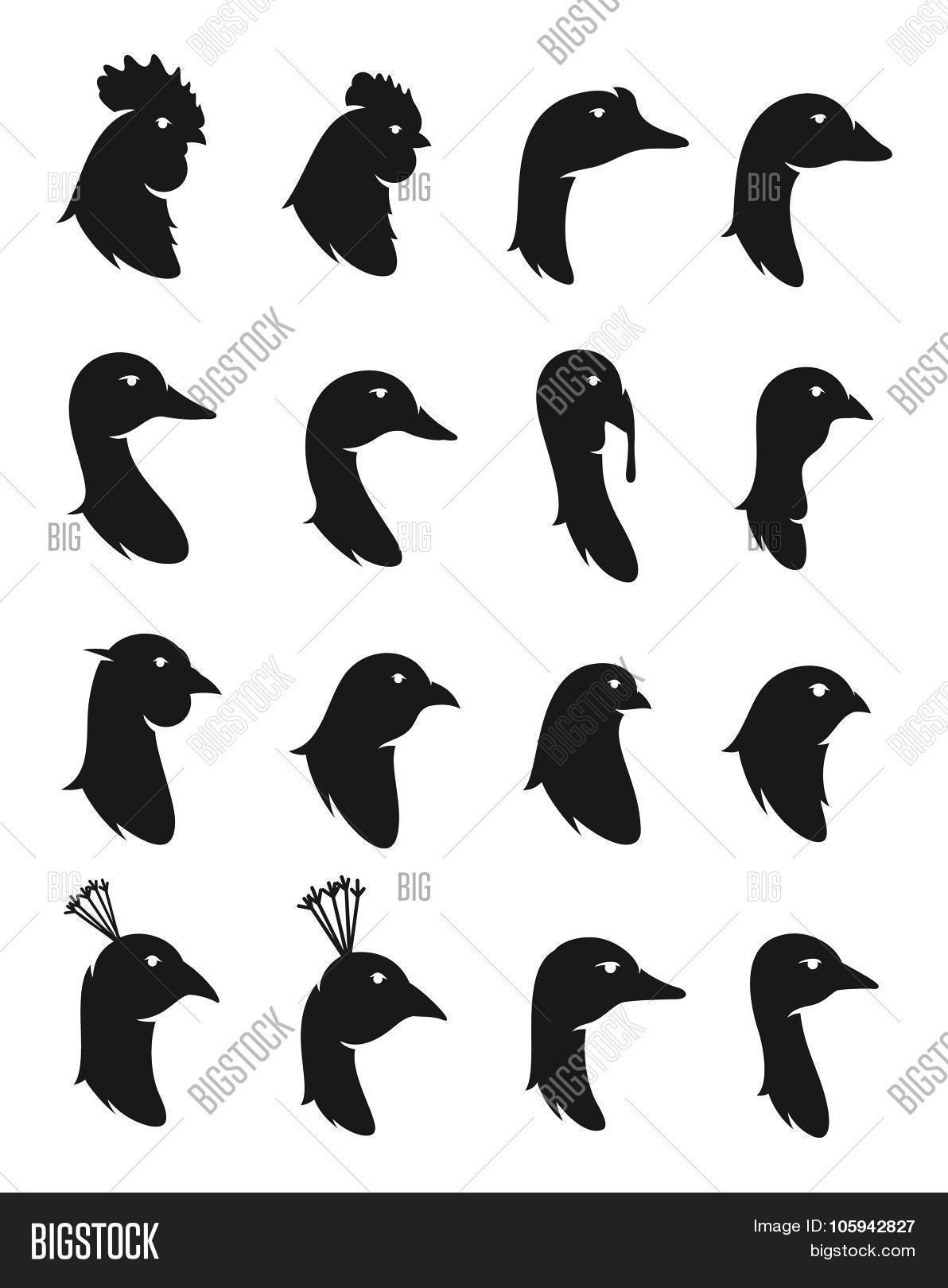 Vector Poultry Icons Vector & Photo (Free Trial) | Bigstock