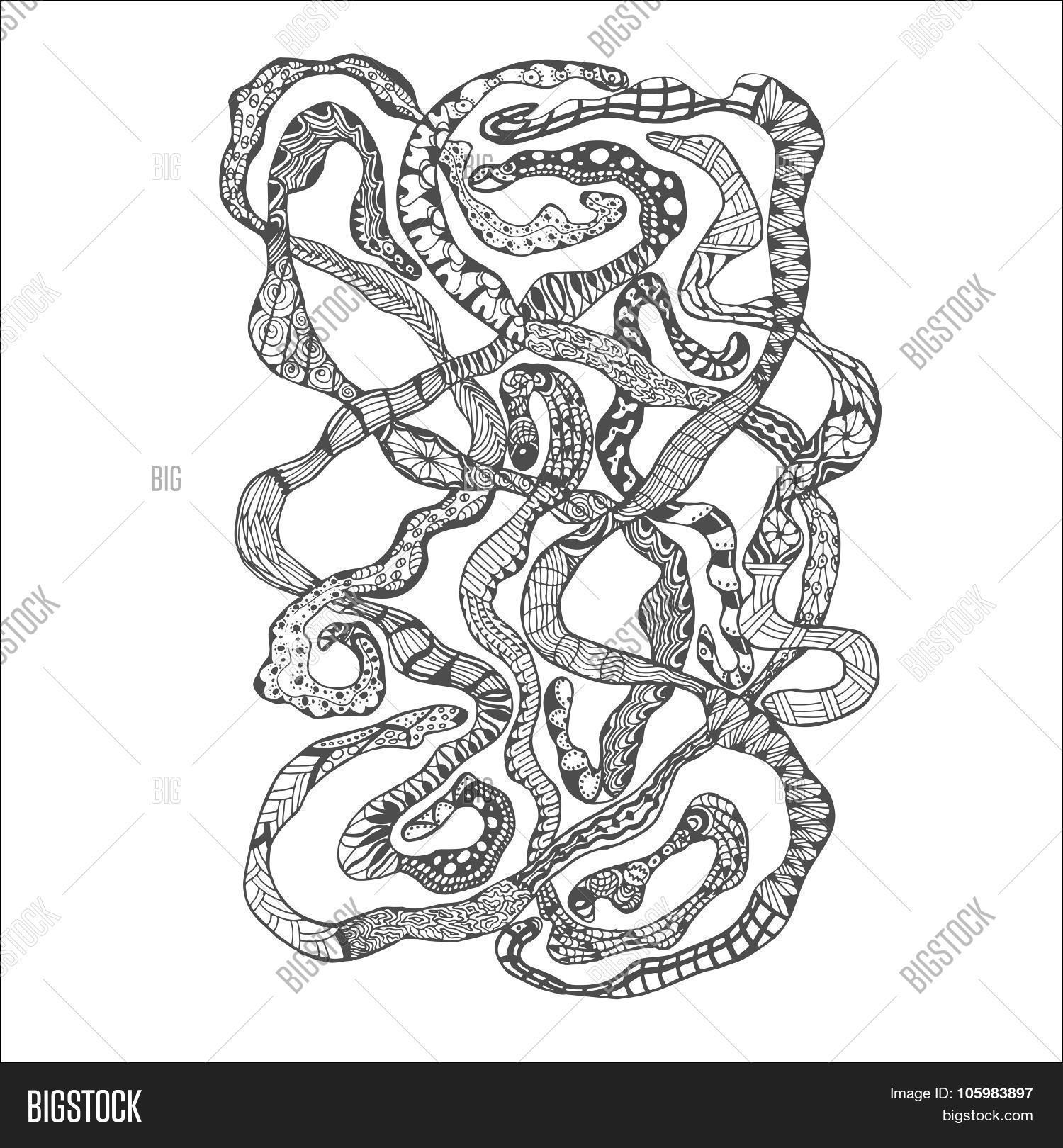 Hand Drawn Doodle Vector & Photo (Free Trial) | Bigstock