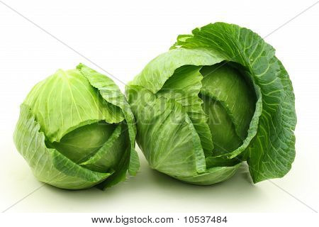 Groene afbeelding en foto (gratis proefversie) | Bigstock