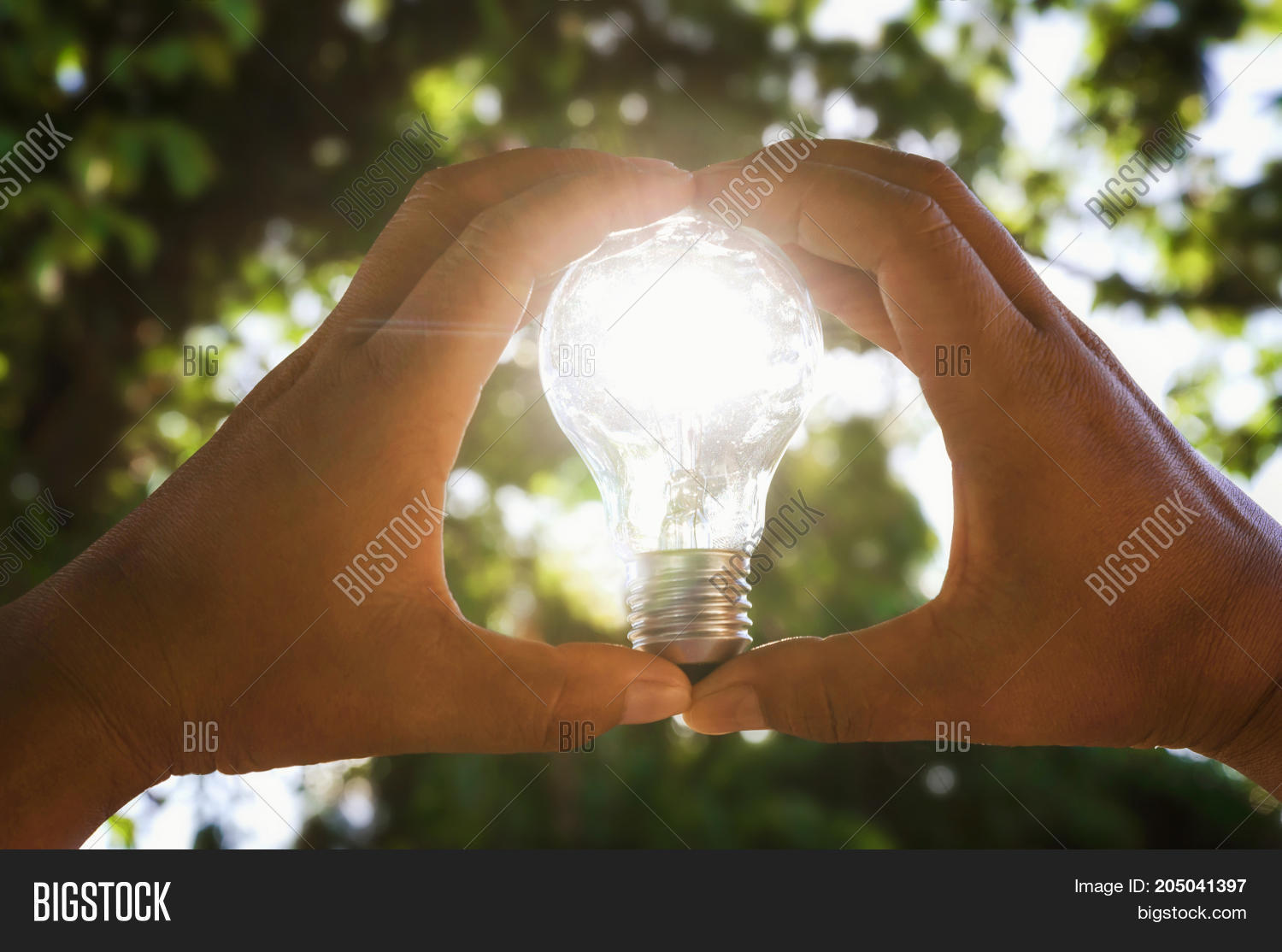 Two Hand Holding Light Image & Photo (Free Trial) | Bigstock