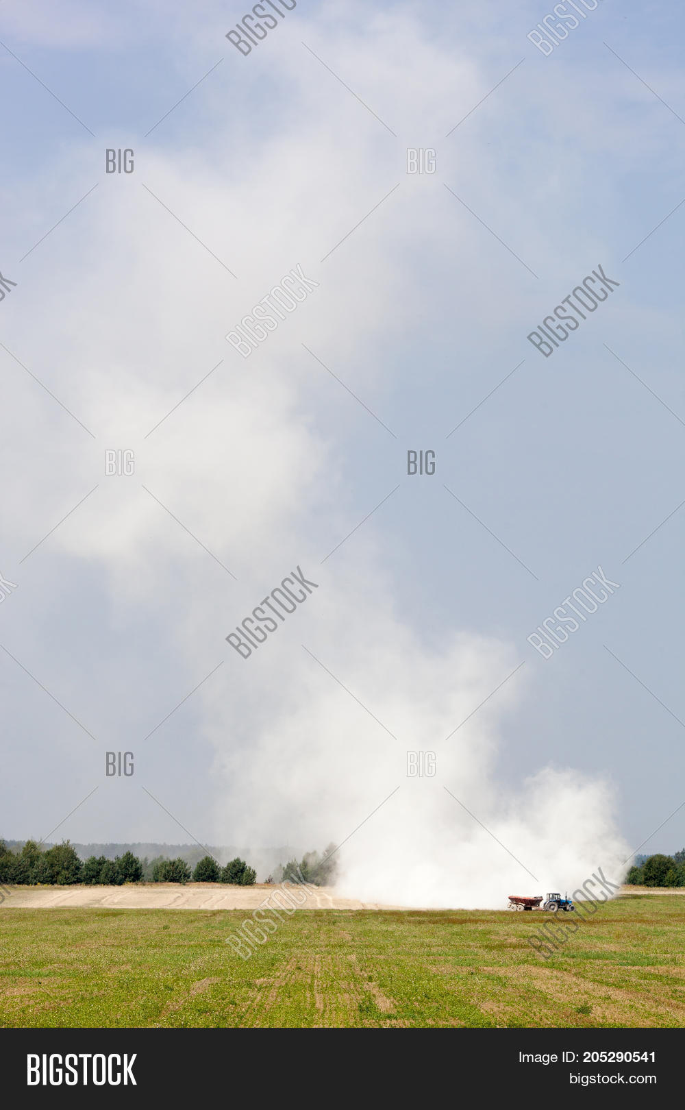 Bright Meadow Image & Photo (Free Trial) | Bigstock