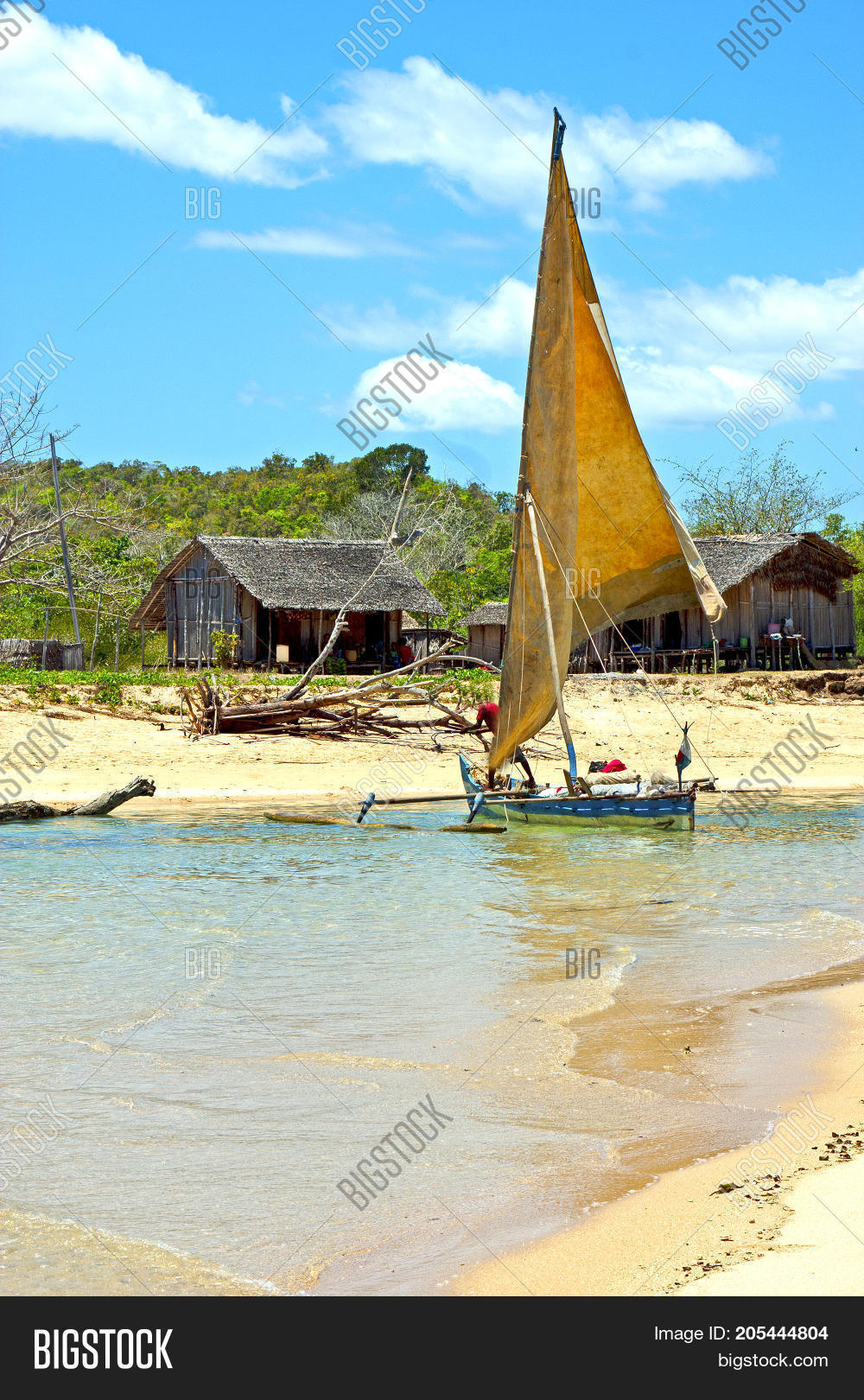 Pirogue Beach Seaweed Image & Photo (Free Trial) | Bigstock
