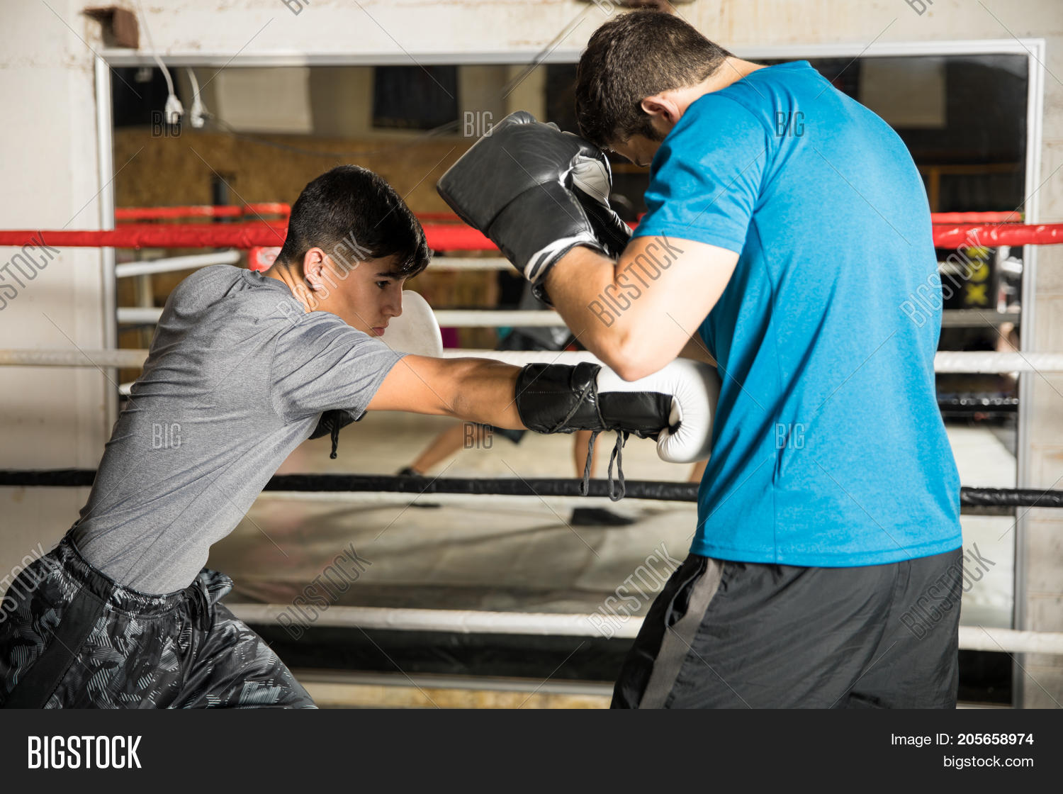 Shorter Boxer Beating Image & Photo (Free Trial) | Bigstock