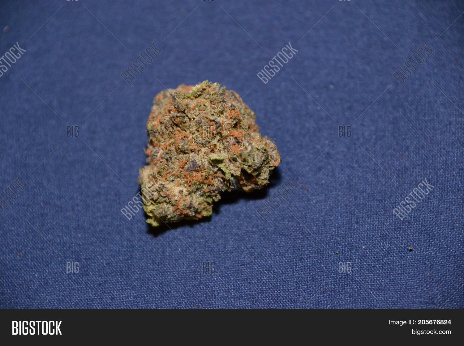 Dosido Hybrid Medical Image & Photo (Free Trial) | Bigstock