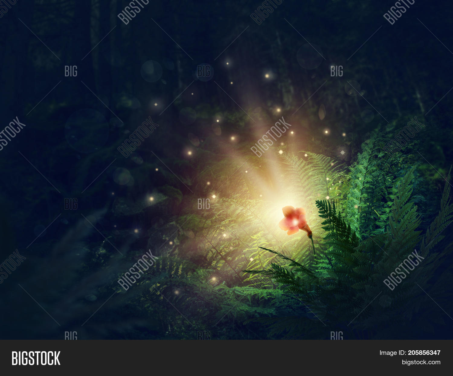 Blooming Fern Flower, Image & Photo (Free Trial) | Bigstock
