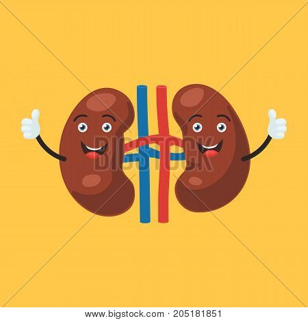 Sick Kidney Images, Illustrations & Vectors (Free) - Bigstock