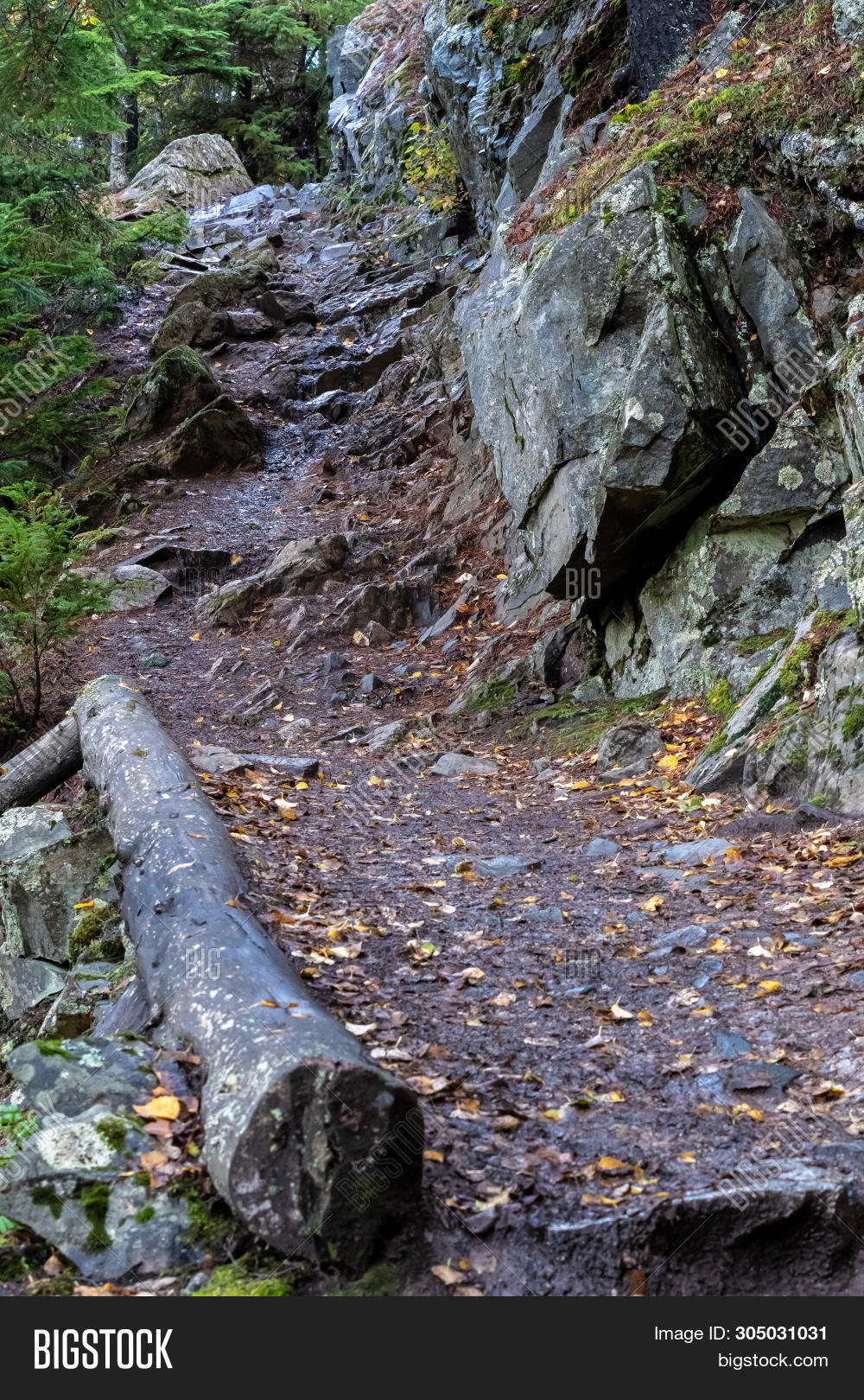 Nature Hiking Mountain Image & Photo (Free Trial) | Bigstock