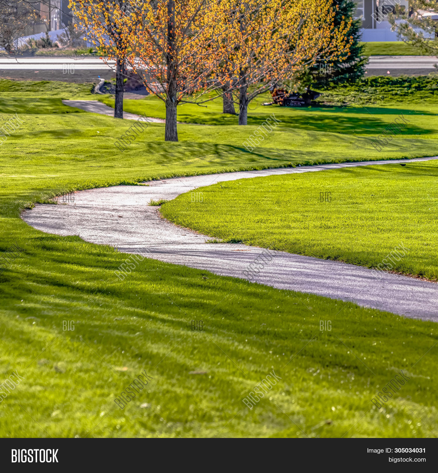 Square Grassy Terrain Image & Photo (Free Trial) | Bigstock