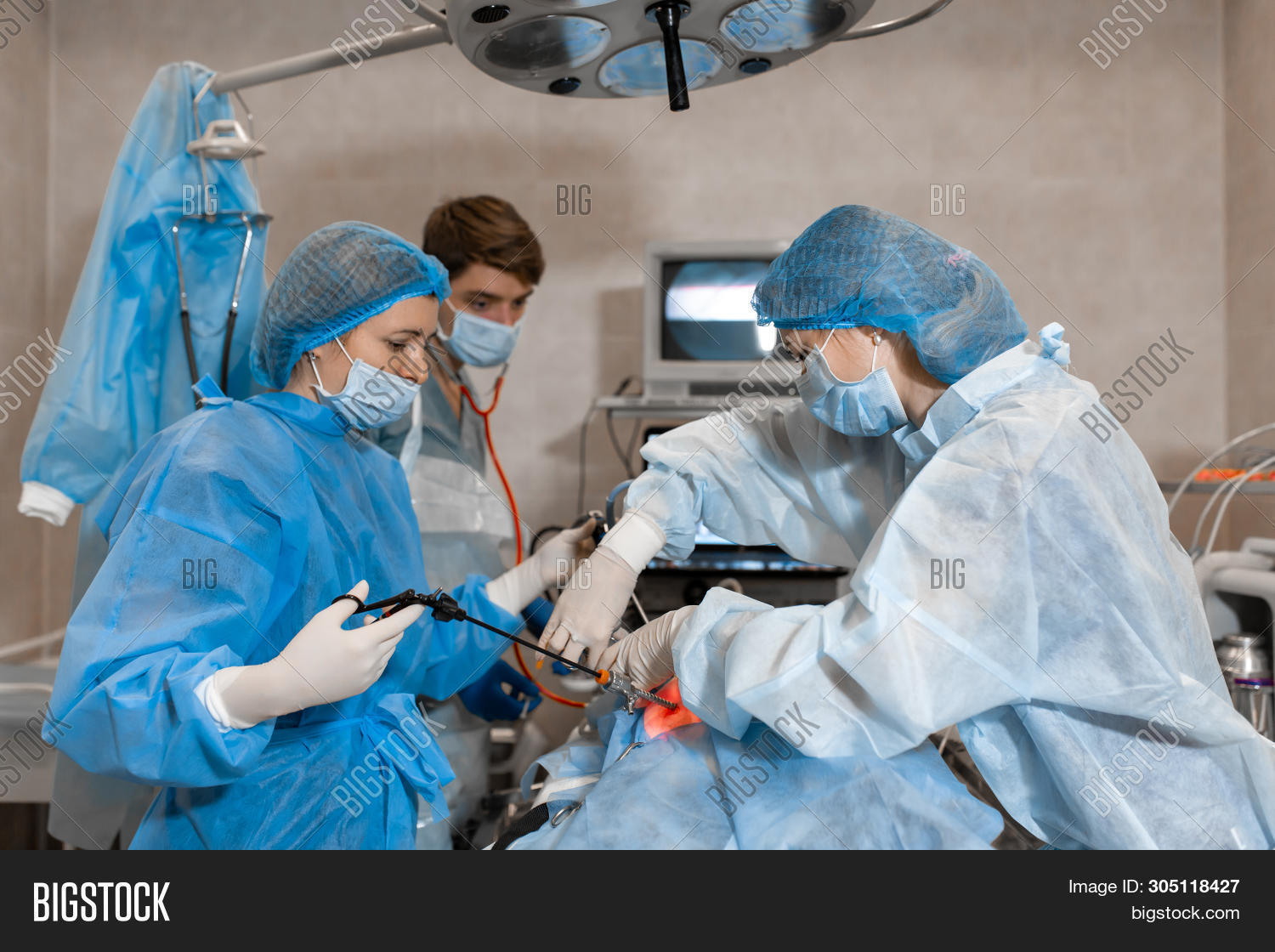 Vet Doing Operation Image & Photo (Free Trial) | Bigstock