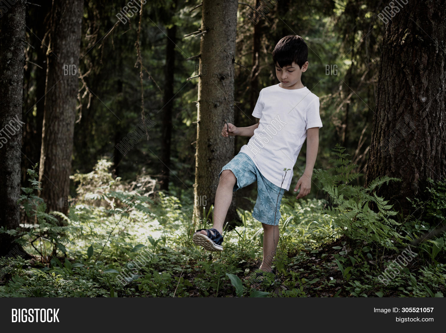 Image Sad Child Forest Image & Photo (Free Trial) | Bigstock