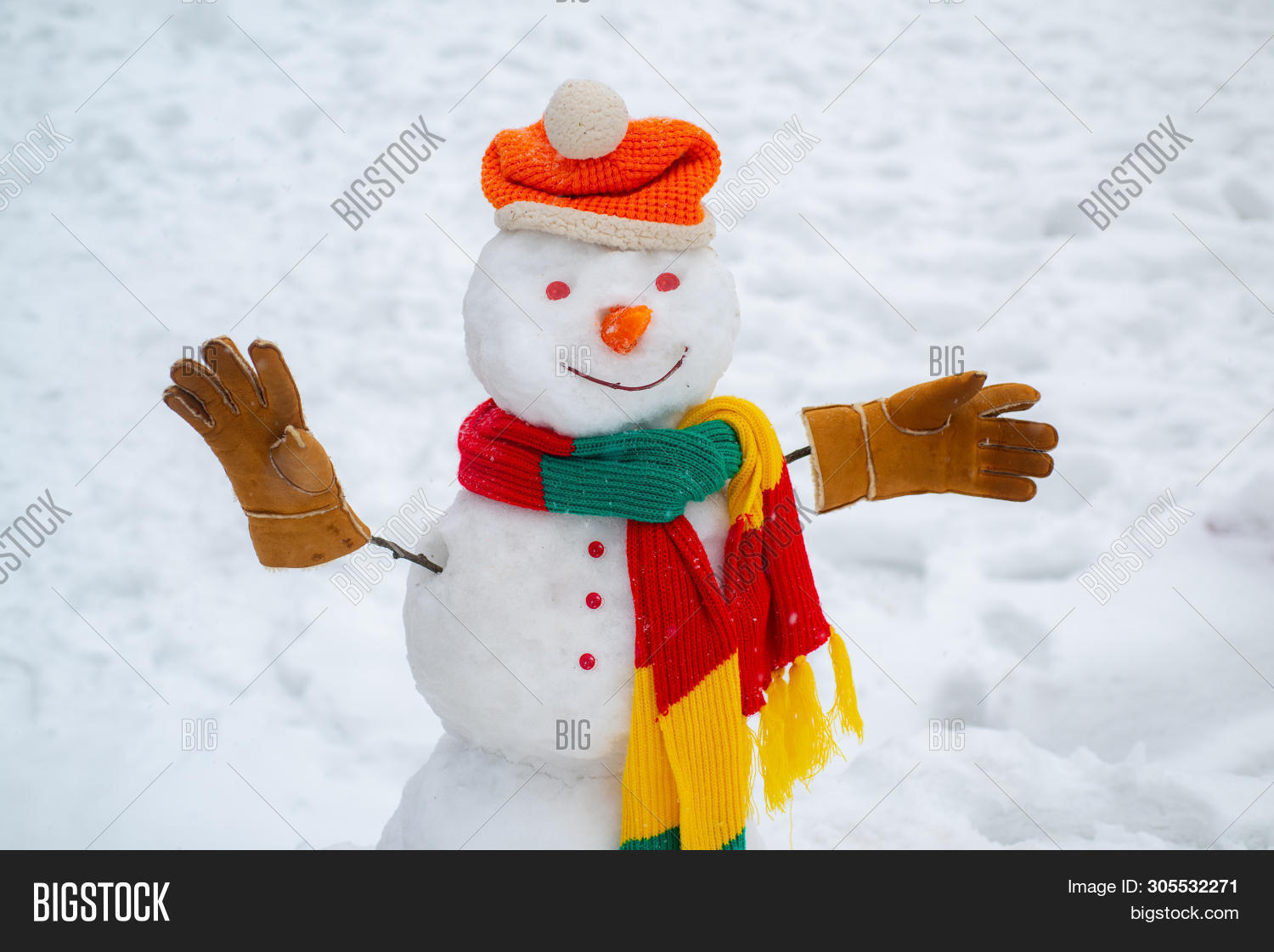 Happy Funny Snowman Image & Photo (Free Trial) | Bigstock