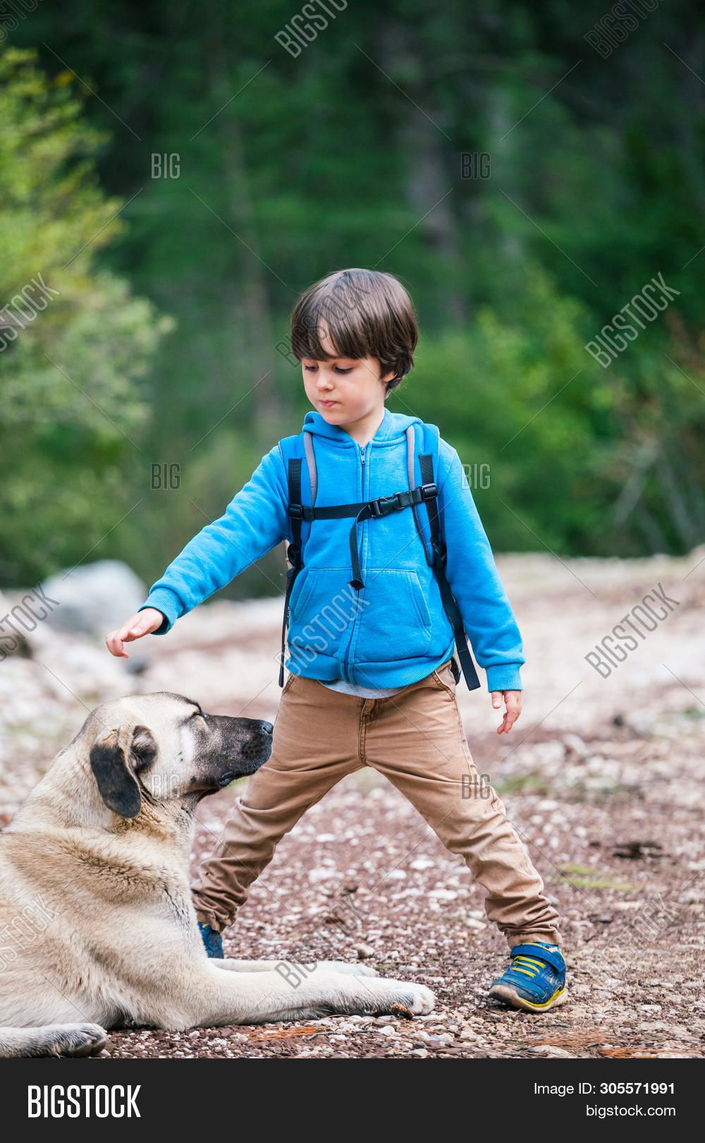 Boy Backpack Walks Dog Image & Photo (Free Trial) | Bigstock