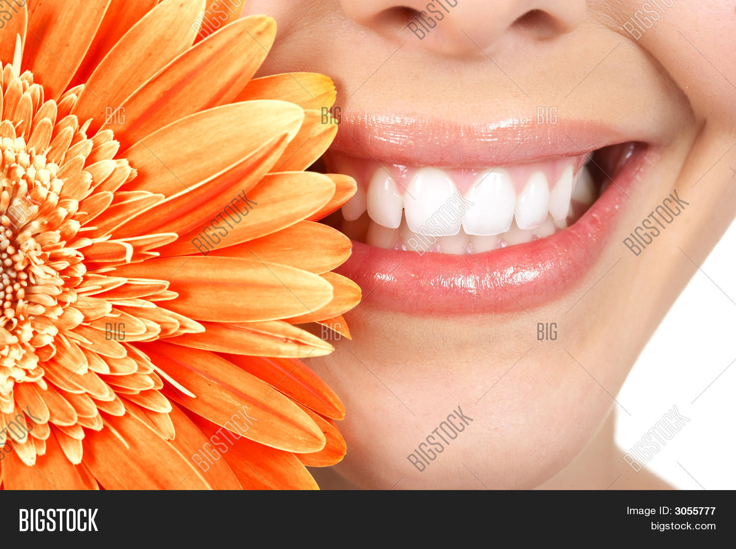 Woman Teeth Image & Photo (Free Trial) | Bigstock