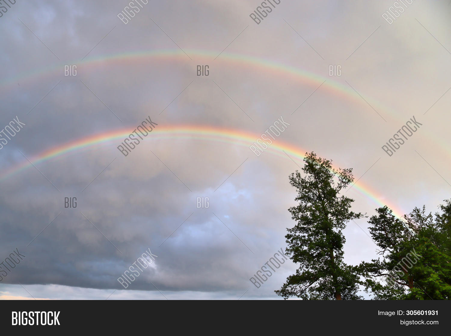 Stunning Natural Image & Photo (Free Trial) | Bigstock