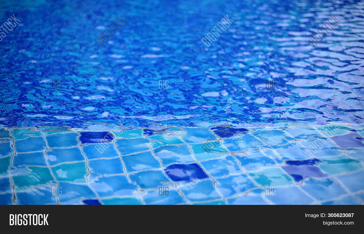 Shallow Wadding Pool Image & Photo (Free Trial) | Bigstock