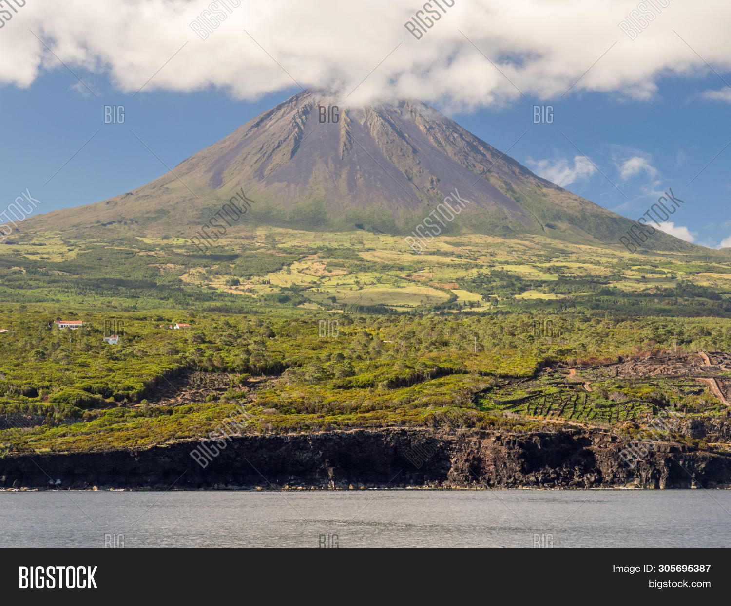 Mount Pico Vineyards Image & Photo (Free Trial) | Bigstock