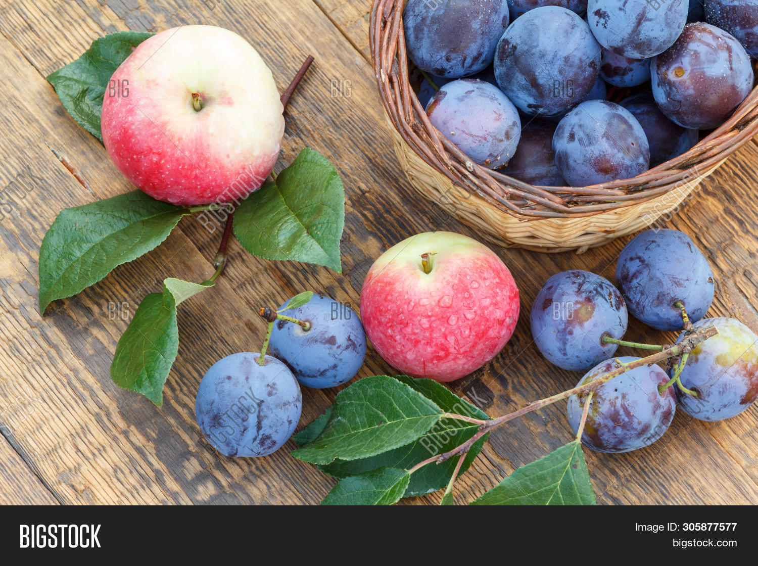 Picked Ripe Plums Image & Photo (Free Trial) | Bigstock