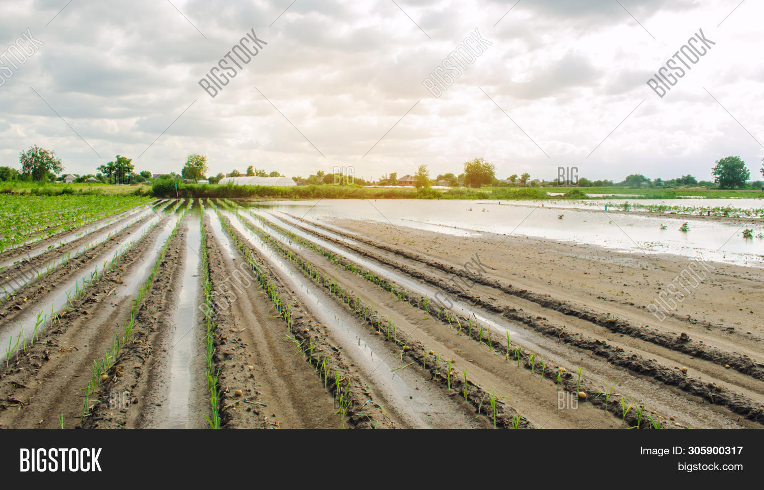 Flooded Field Result Image & Photo (Free Trial) | Bigstock