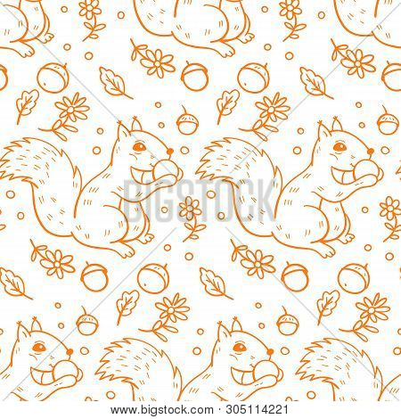 Cute Squirrel Nut. Vektörü (Ücretsiz Deneme) | Bigstock