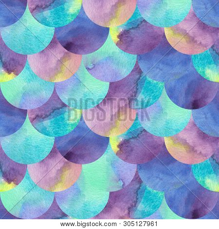 Bilder, Illustrationen und Vektorgrafiken (kostenlos) zum Thema Fish ...